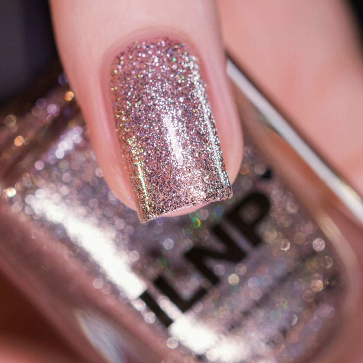 ILNP Fall Essentials Bundle - by ILNP