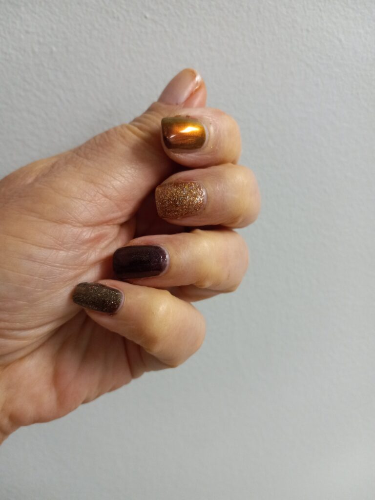 ILNP Fall Essentials Bundle - by ILNP